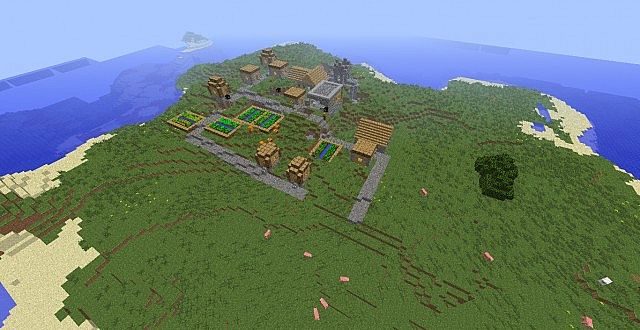 Village Survival Island Minecraft Map