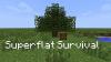 Superflat Survival Minecraft Map