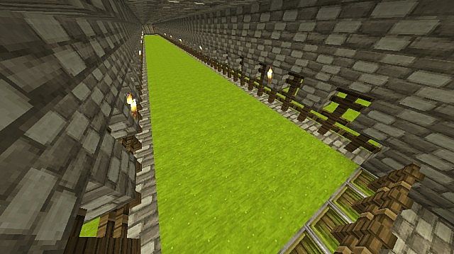 Cow Race - Race Map Minecraft Map