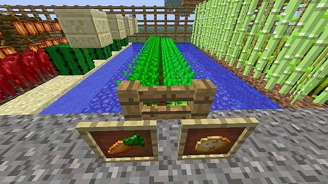 Cool Vilage Minecraft Map