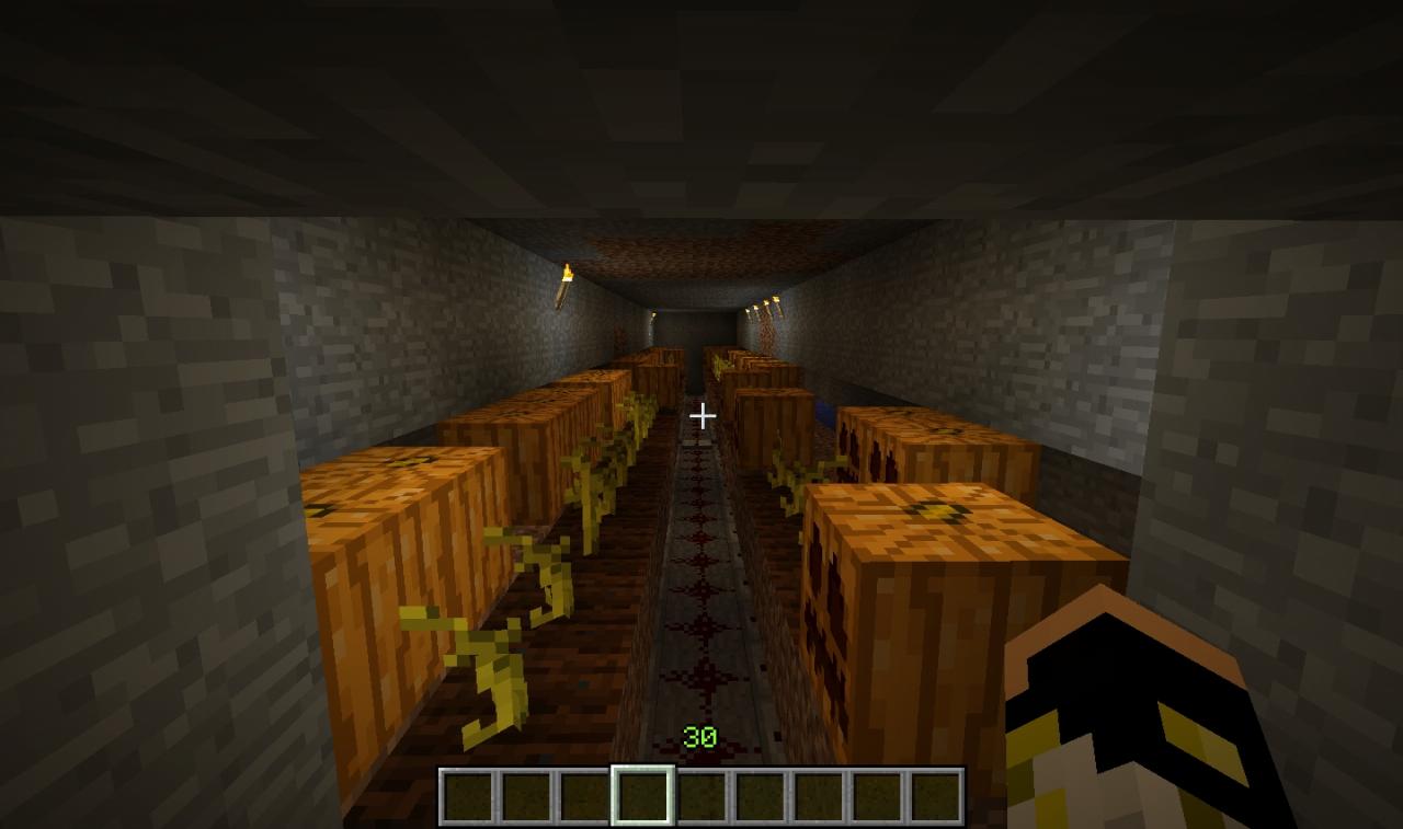 SUPER SURVIVAL 3000 Minecraft Map