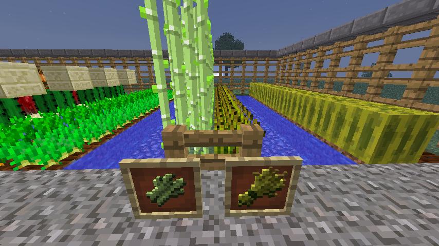 Cool Vilage Minecraft Map