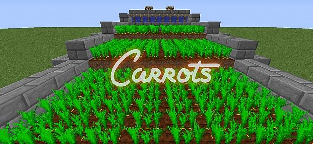 Automatic Farm /Wheat, Carrots and Potatoes Minecraft Map