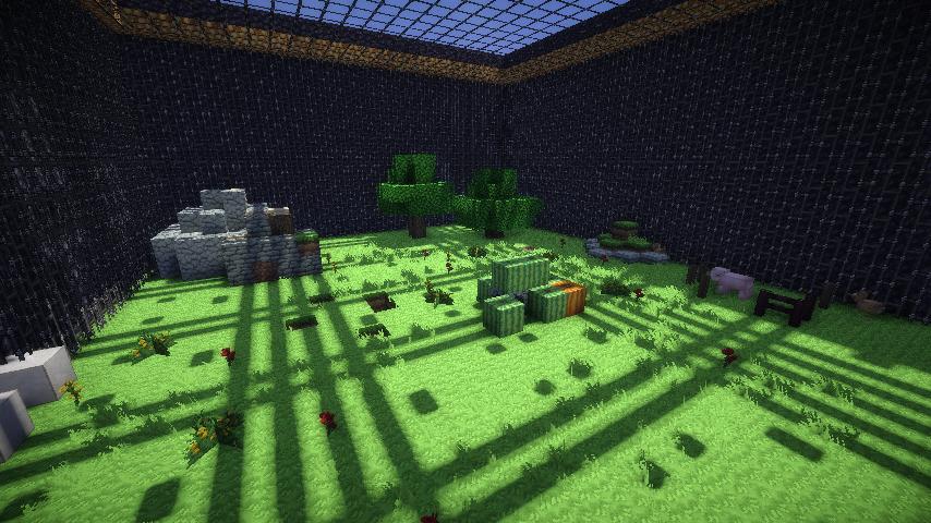 The Cage Survival Minecraft Map