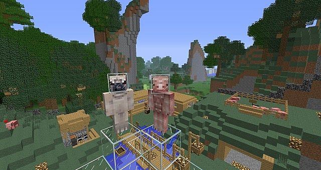 Chunk craft Minecraft Server