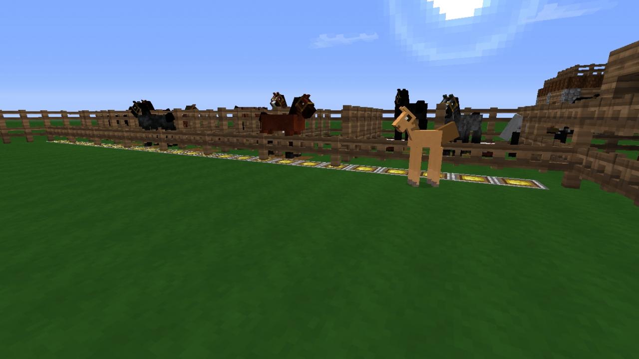Horse Corral Minecraft Map