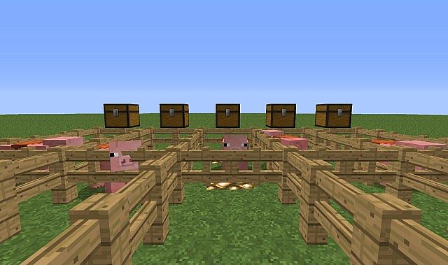 Pig Racing Minecraft Map