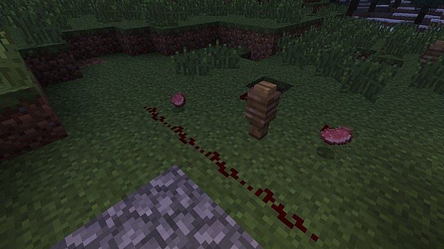 The Mystery of the Broken Disk Ep.3 Whorobrine?