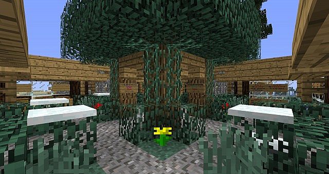Community Build Minecraft Server