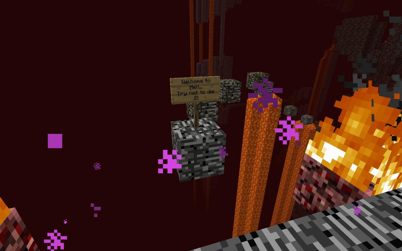 CTM Map — Pins & Needles Minecraft Map