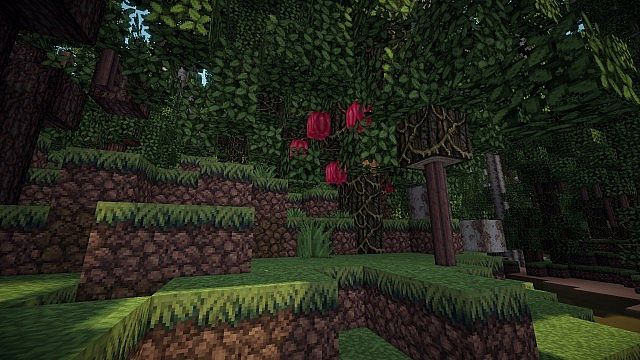 Rainforest Biome - Custom Terrain Minecraft Project