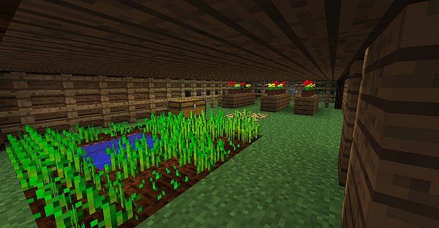 Wooden Shack House Minecraft Map