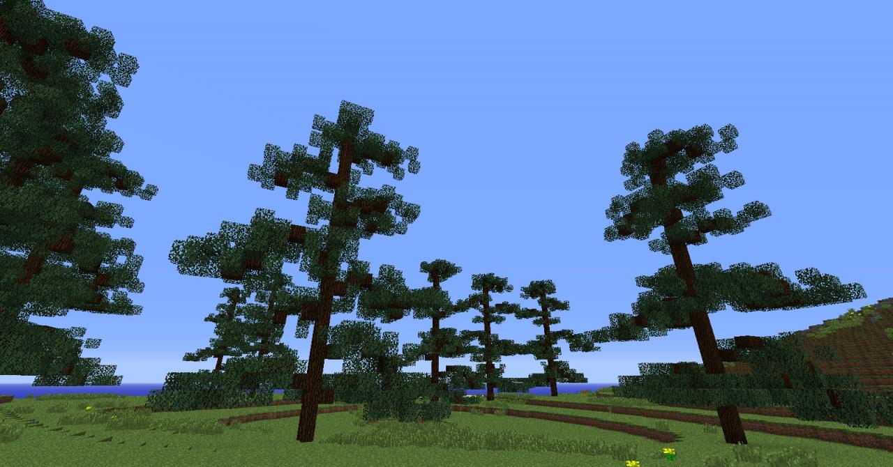 Terraform #2 - European Forest! [CUSTOM TREES] Minecraft Map