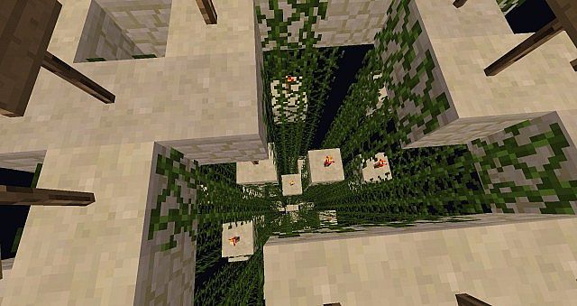 Vines Battle Minecraft Map