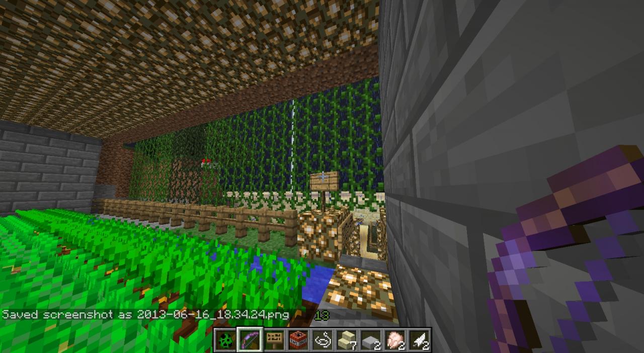 Starter Spawn Minecraft Map