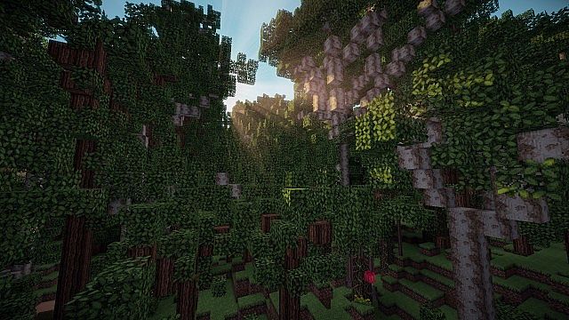 Rainforest Biome - Custom Terrain Minecraft Project