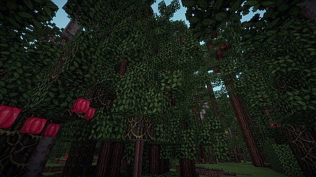 Rainforest Biome - Custom Terrain Minecraft Project
