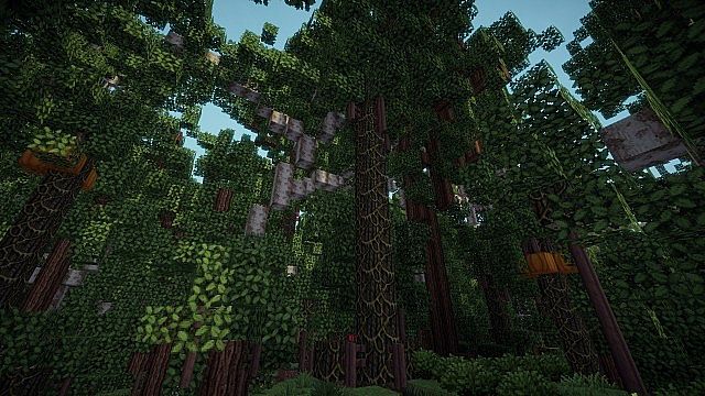 Rainforest Biome - Custom Terrain Minecraft Project
