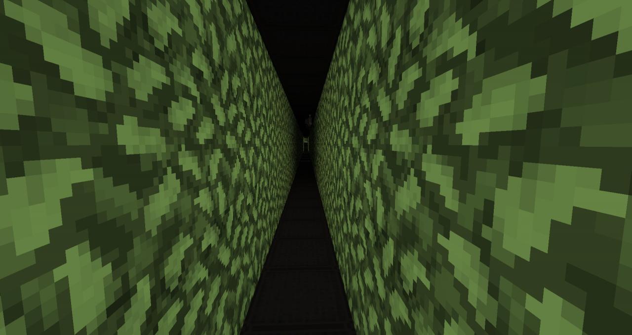 The maze Minecraft Map