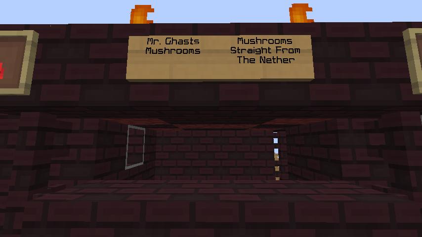 The Town (Multiplayer Map Idea) [Beta V2] Minecraft Map