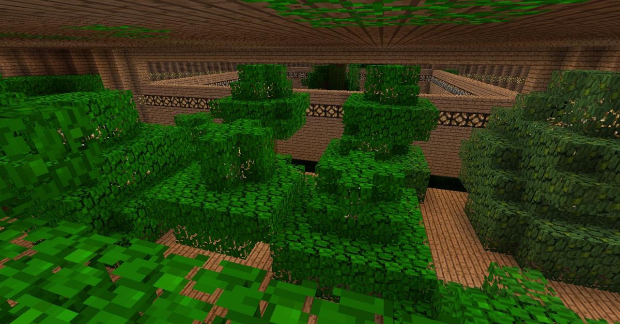 Above The Canopy Minecraft Map