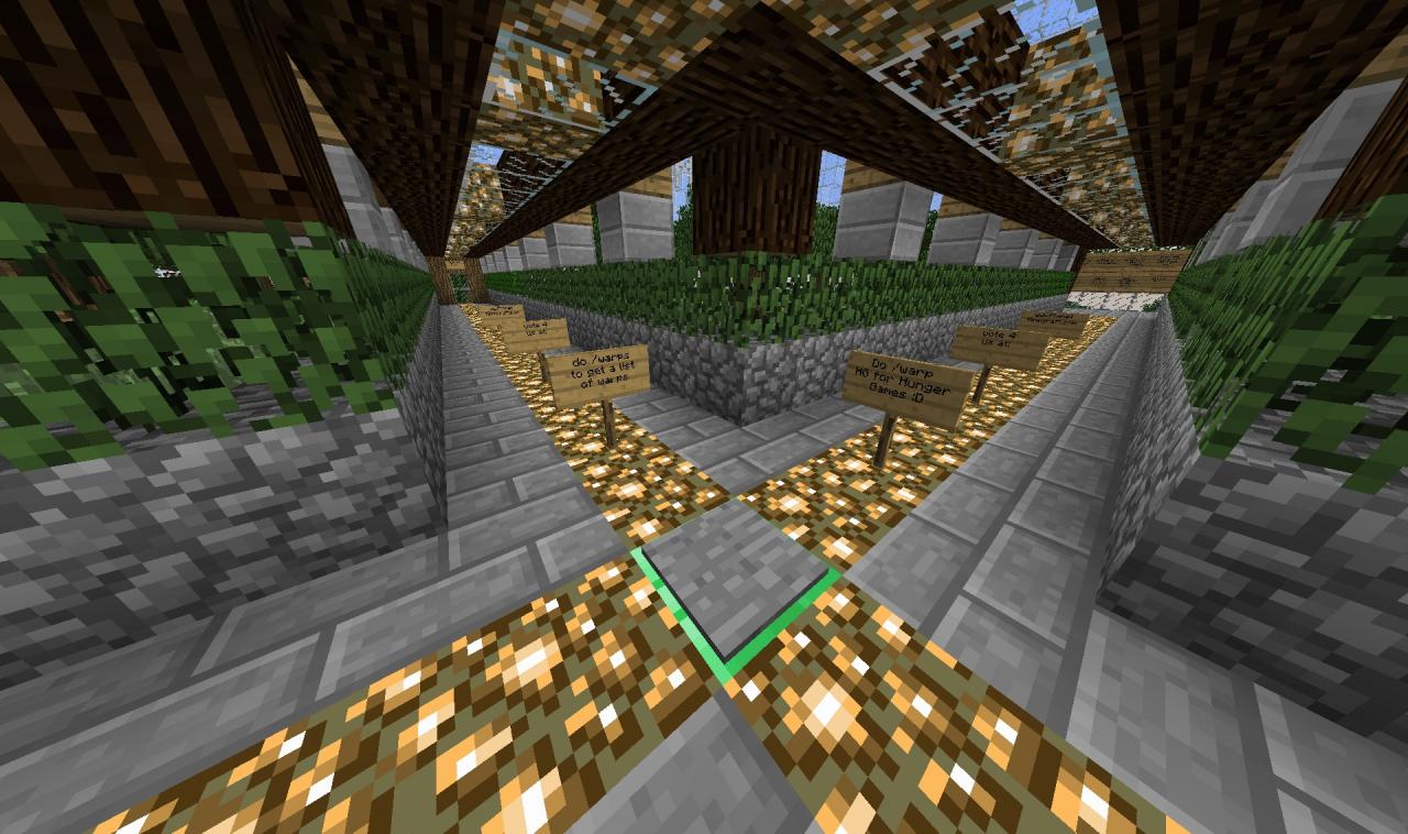 My Minecraft server world Minecraft Map