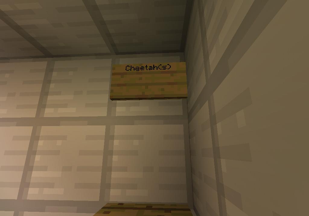 Cheetah Run! Minecraft Map