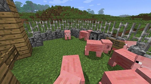 Pig racing! Minecraft Map