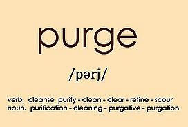 The Purge Movie Review