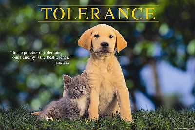 Tolerance and Why We Need It [POP REEL]