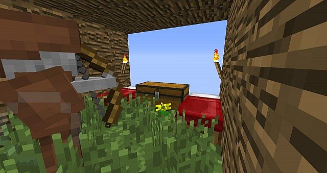 Gecko Survival NO GLASS Minecraft Map