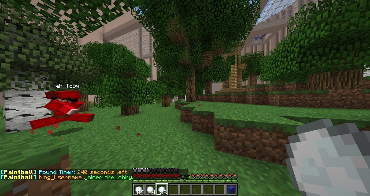 1.6.1 PaintBall!!! Minecraft Server