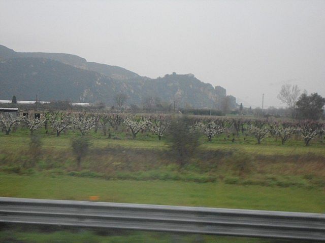 Border Patrol -Original Map Minecraft Map