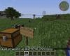 minigame run runner run sg4 map Minecraft Map
