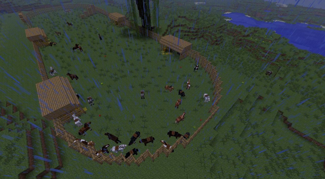 horse corral & speed testing strip Minecraft Map
