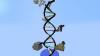 Double Helix Minecraft Map