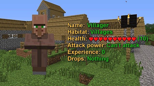 What minecraft seriously missing