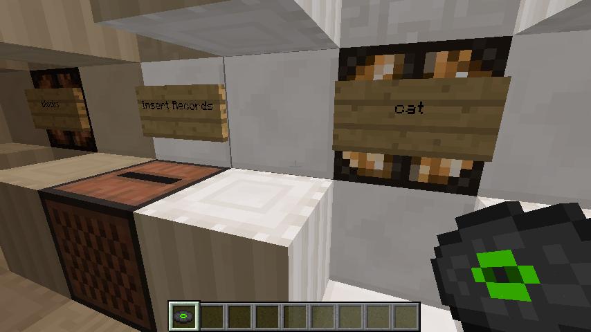 Records Room Minecraft Map