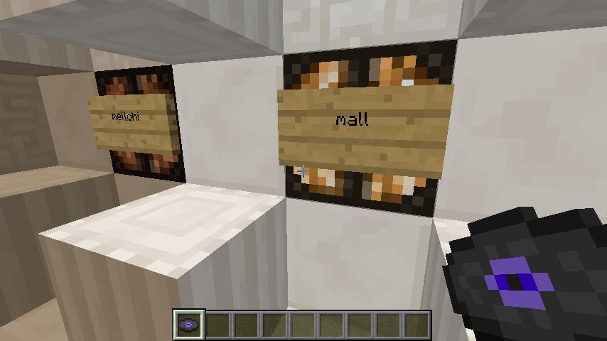 Records Room Minecraft Map