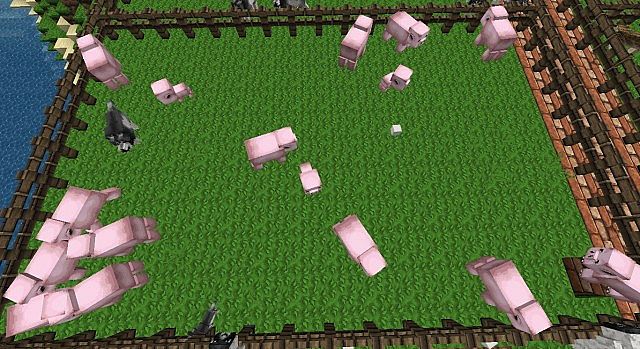 Petting Zoo by hmdunk Minecraft Map