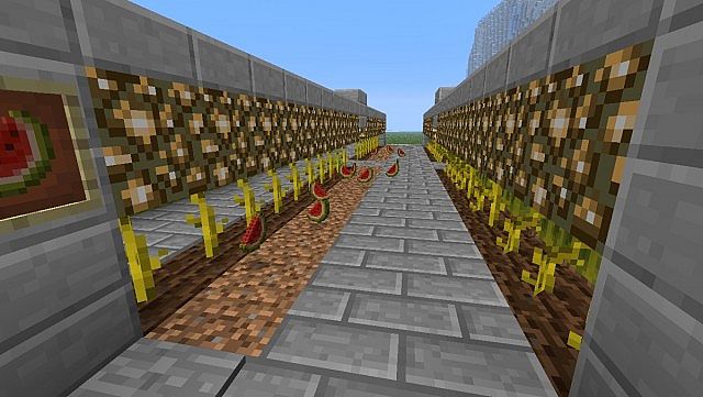 Farm automatic Minecraft Map