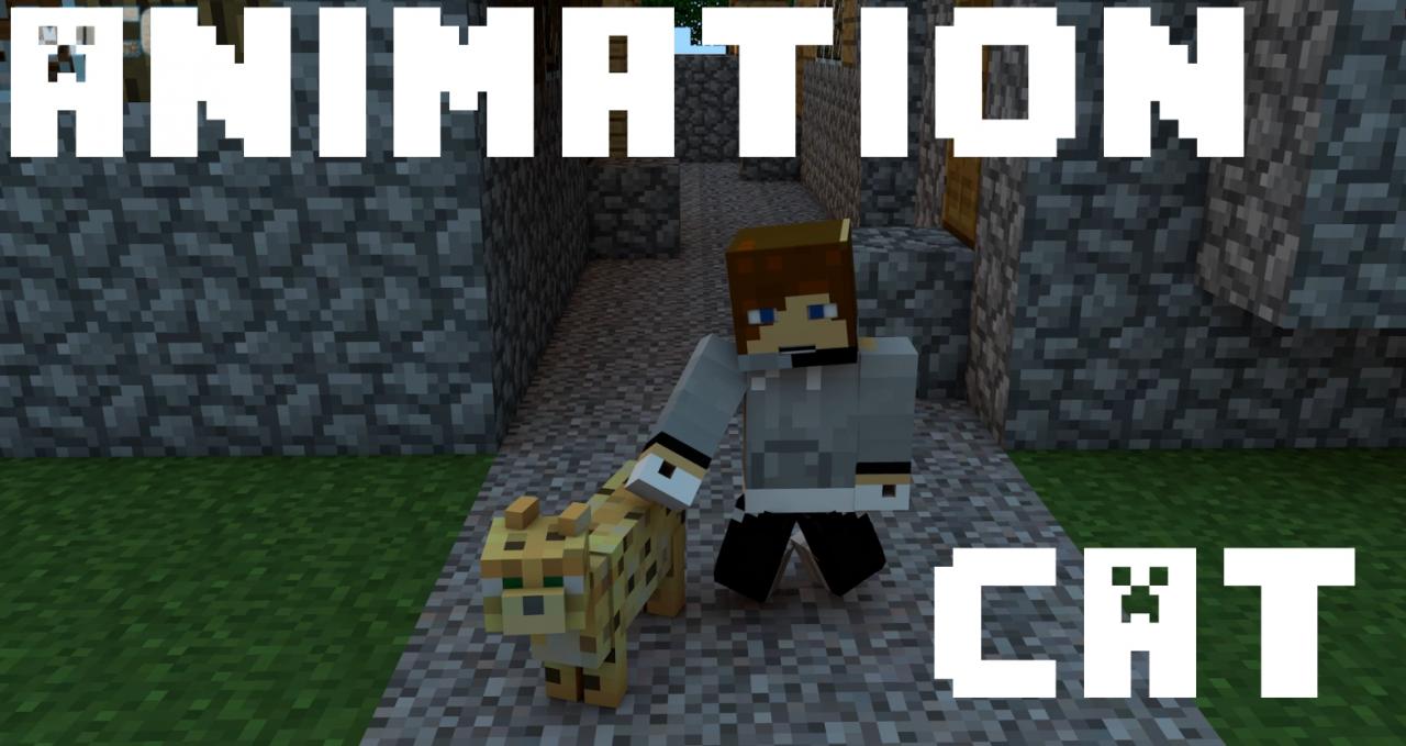 Animations Minecraft Map