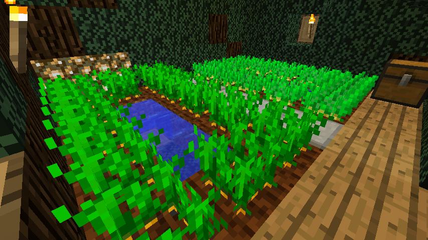 Tree Dome Minecraft Map