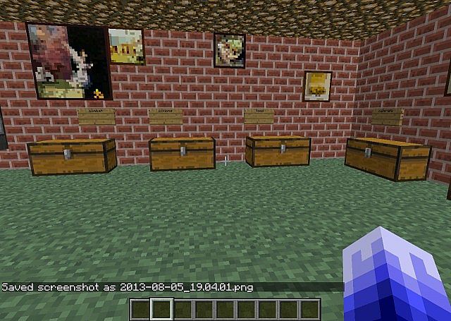 secret basement Minecraft Map