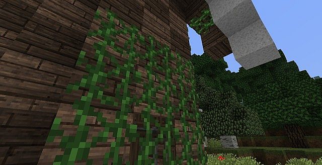 Steve World Minecraft Map