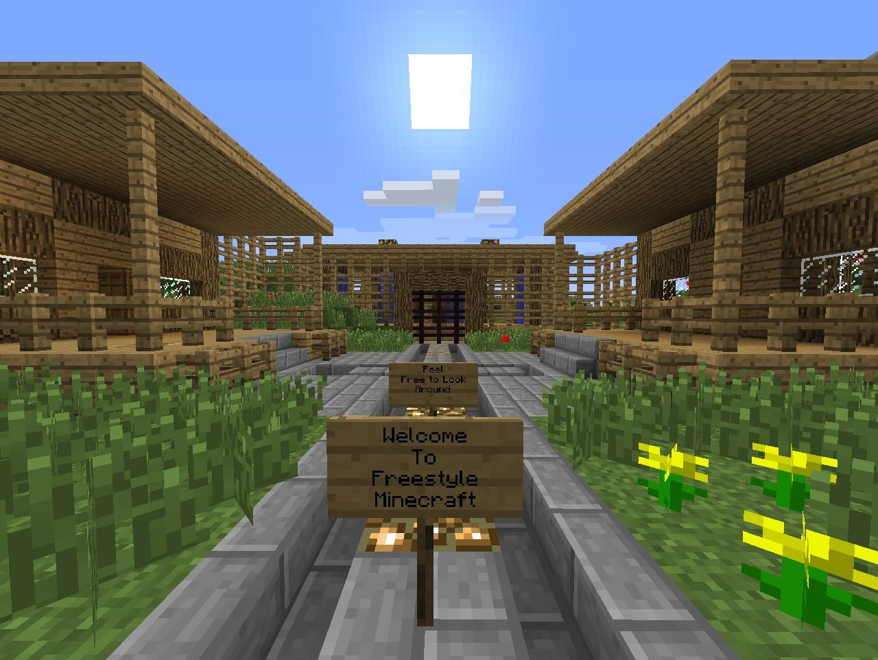 Freestyle Minecraft Minecraft Server