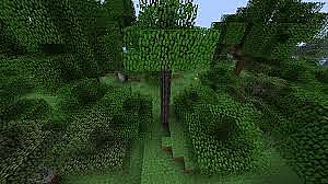 Forge & Death Server Minecraft Server