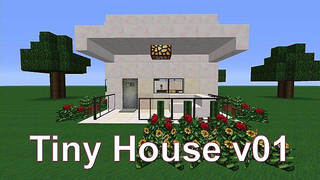 Tiny Space Efficient House v01 Minecraft Map