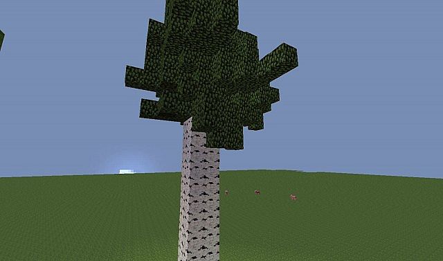 Birch Tree Minecraft Map
