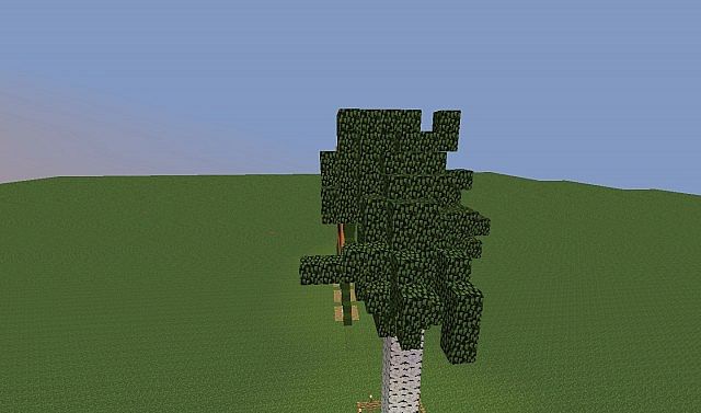 Birch Tree Minecraft Map